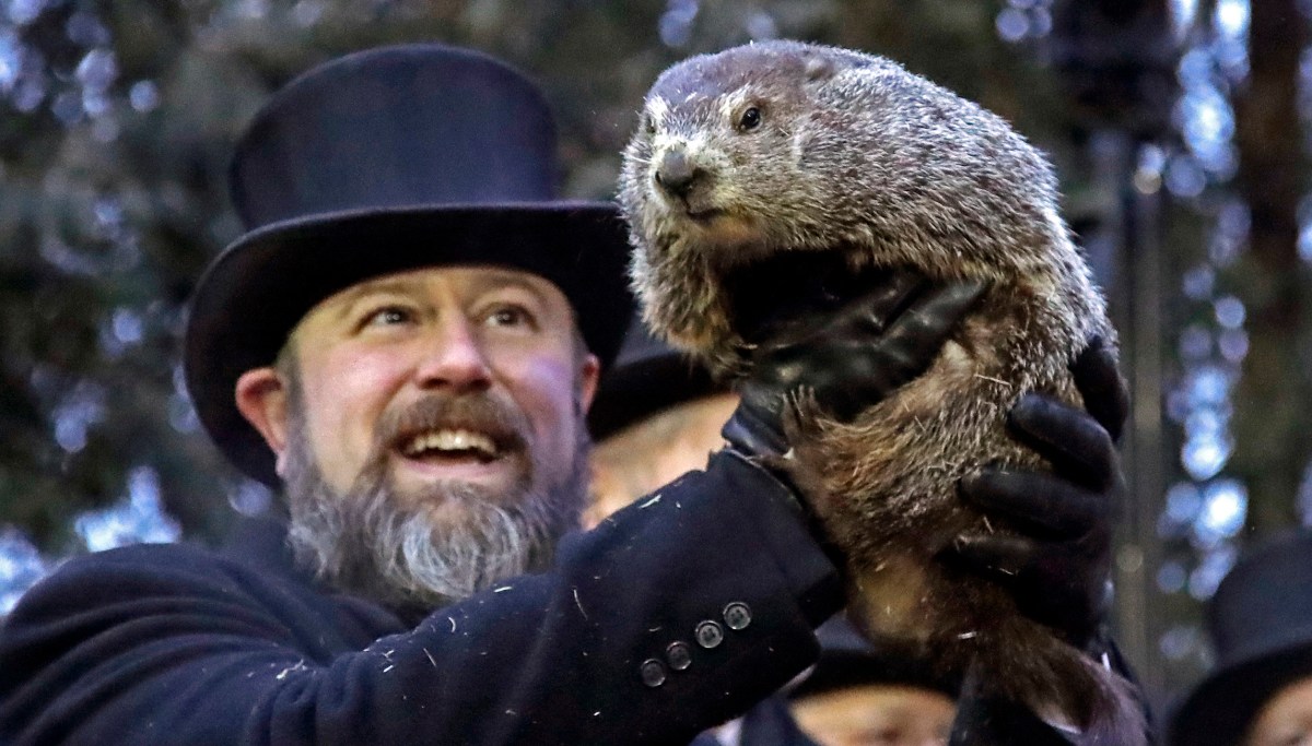 PETA wants to change out Groundhog Day’s Punxsutawney Phil for a giant ...