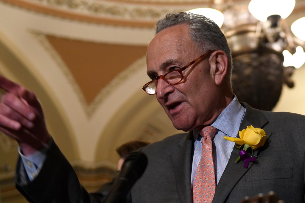 Schumer is on the cusp of defunding the DC police department as crime ...