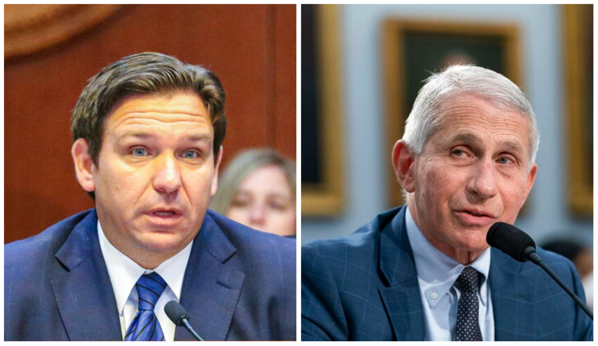 DeSantis calls Fauci a 'little elf' who should be chucked 'across the ...