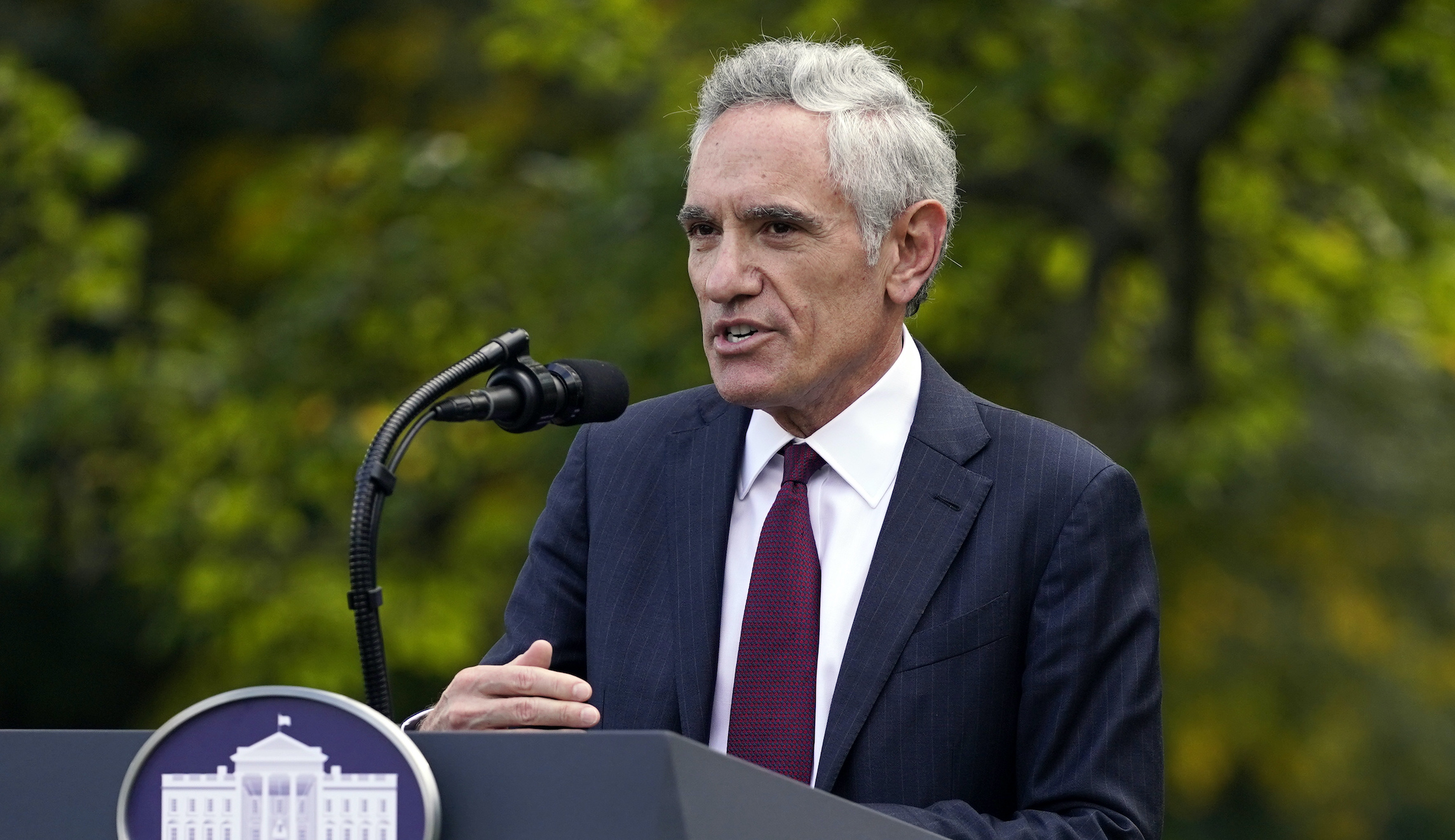 Four high-profile doctors who are challenging the COVID-19 response