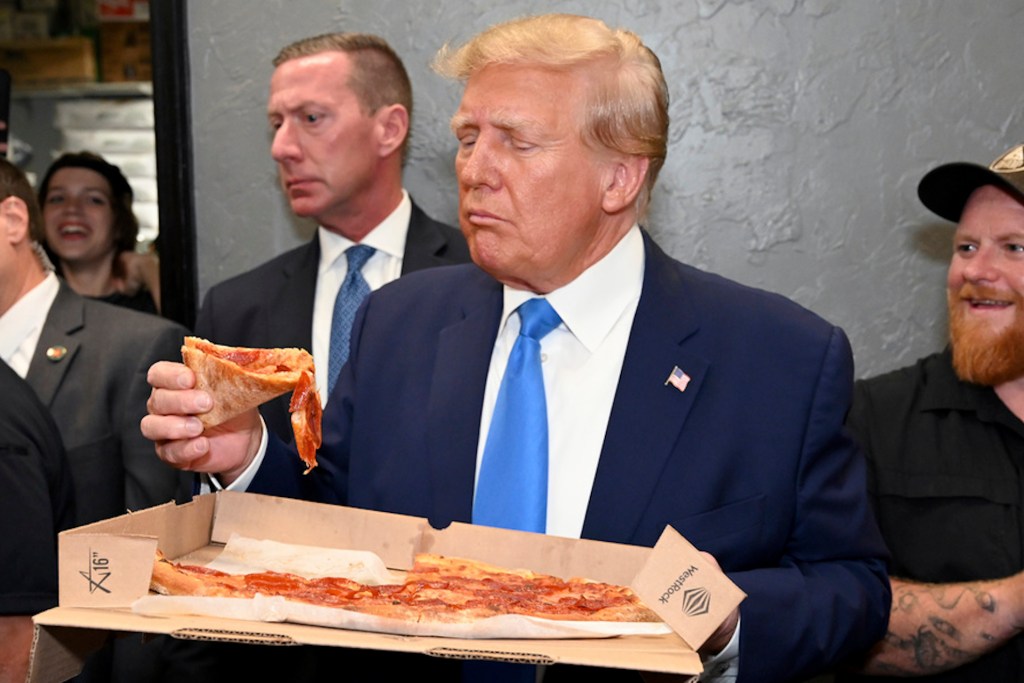 Trump blasts proposed NYC pizza stove ban: New York 'has enough problems'