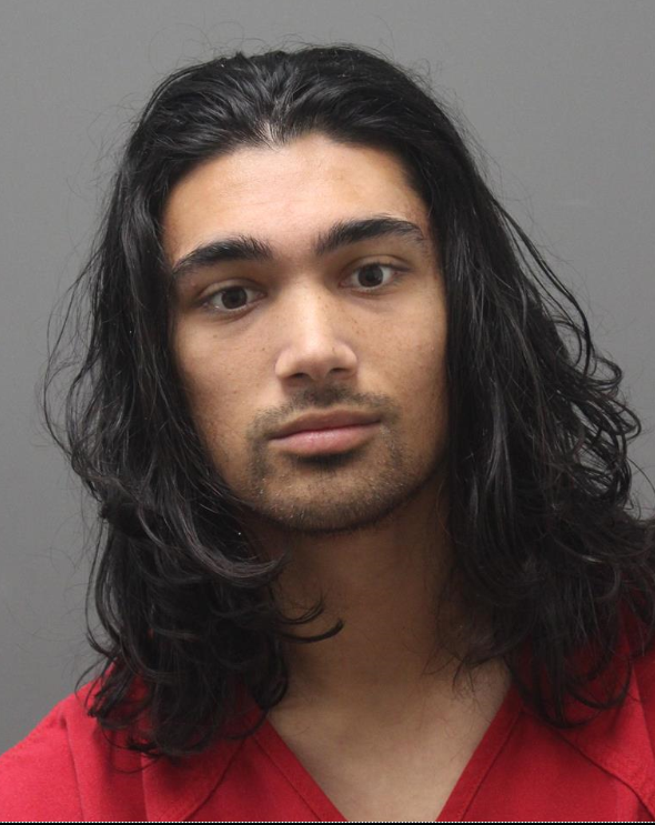 Son of cybersecurity expert accused of killing mother with knife ...