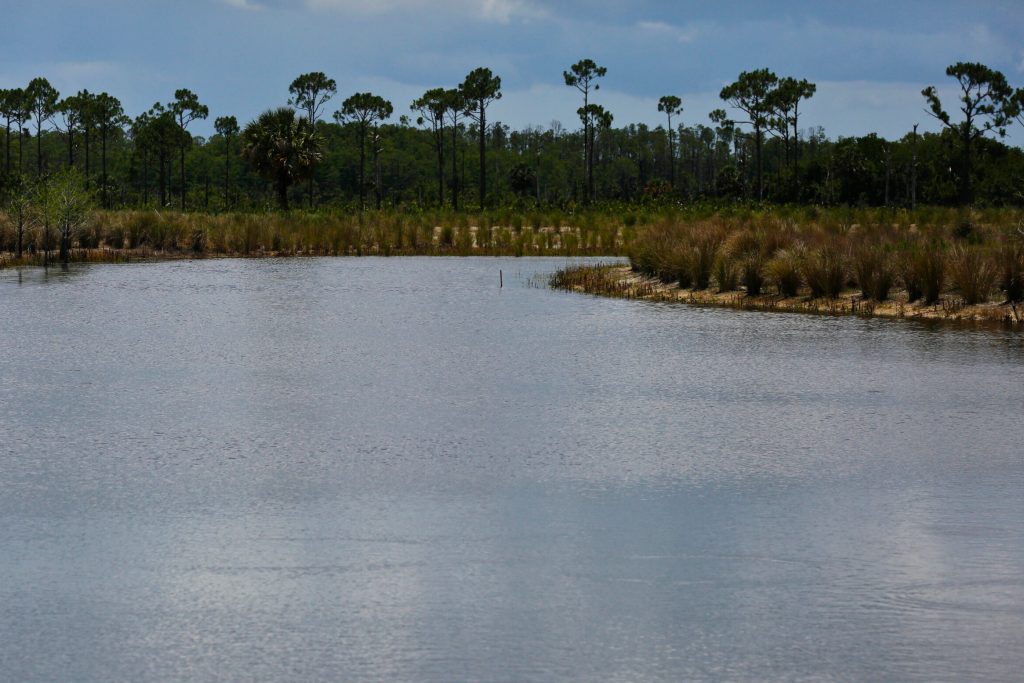 Trump administration eliminates Obama clean water rule