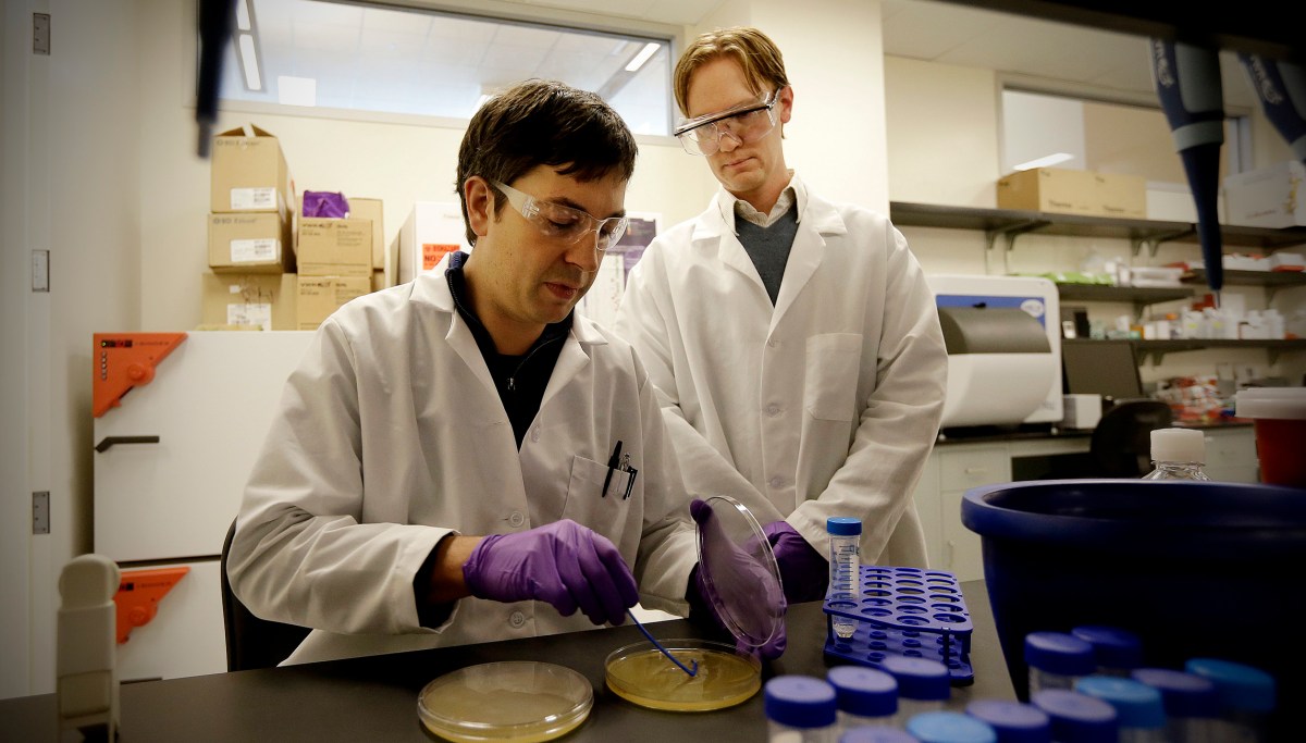 Pfizer gains new cancer drugs in $11.4B purchase of Array BioPharma