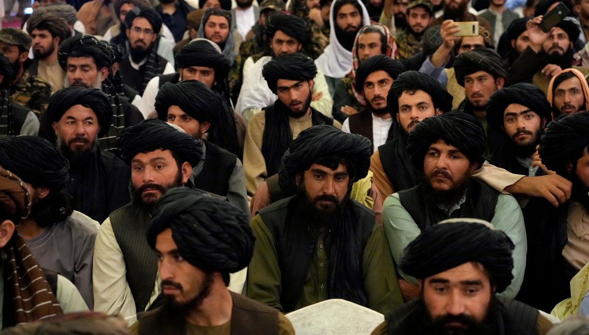Jihadi blues: Taliban bureaucrats lament office life, miss the old days ...