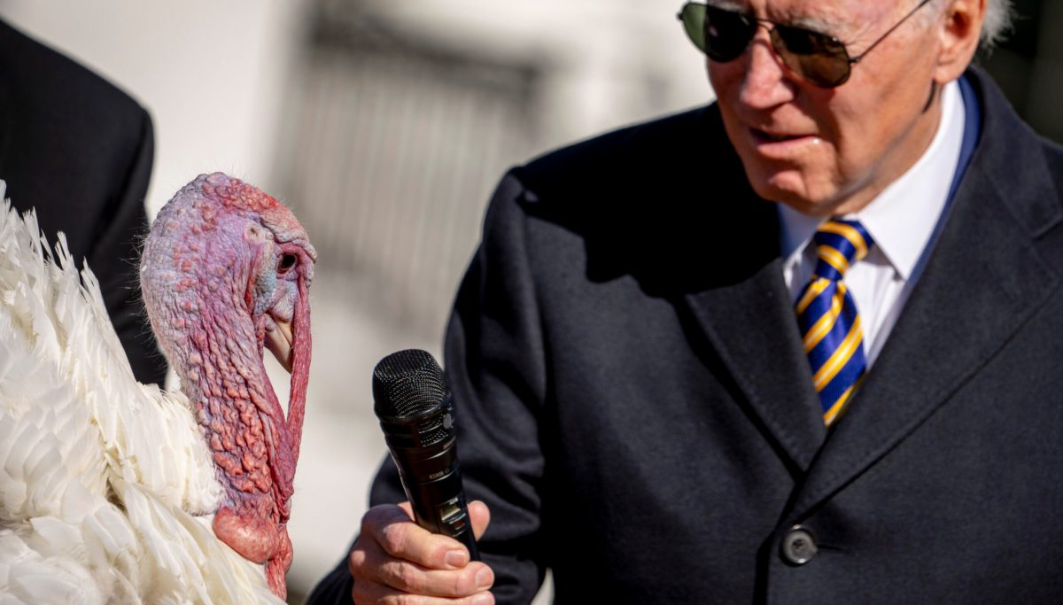 PETA lays groundwork for alternative Thanksgiving turkey pardon