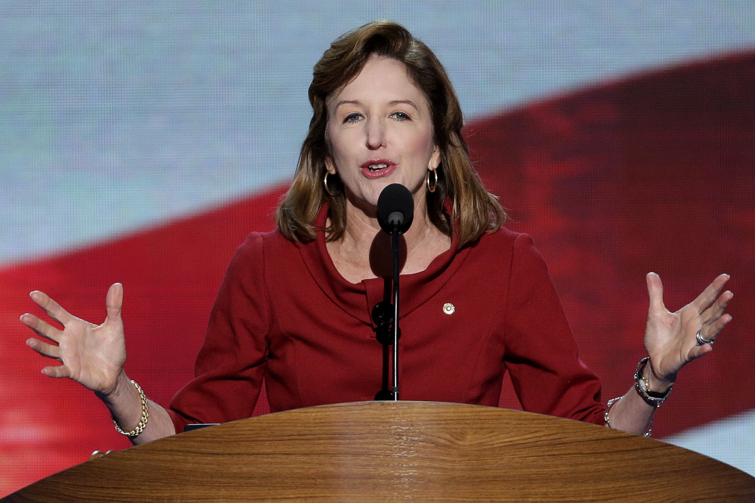 North Carolina Sen. Kay Hagan seeks enrollment, penalty delays for ...