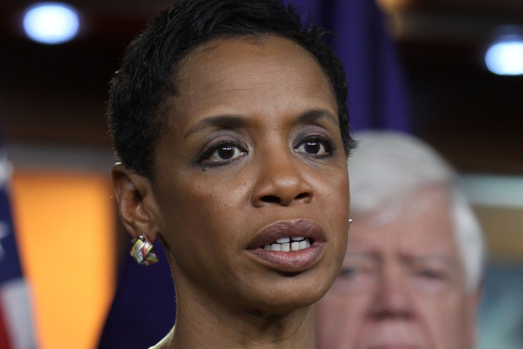 Former Democratic Rep. Donna Edwards: My MS would not be covered under ...