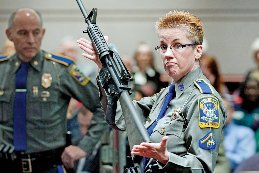 What gun confiscation would look like