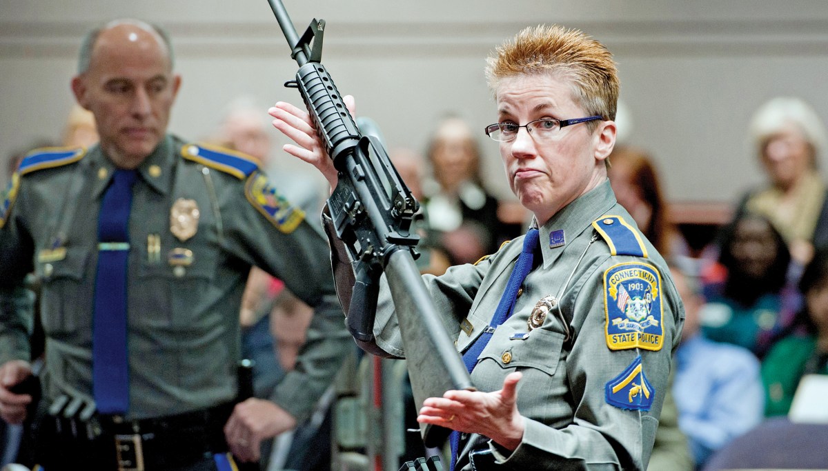 What gun confiscation would look like
