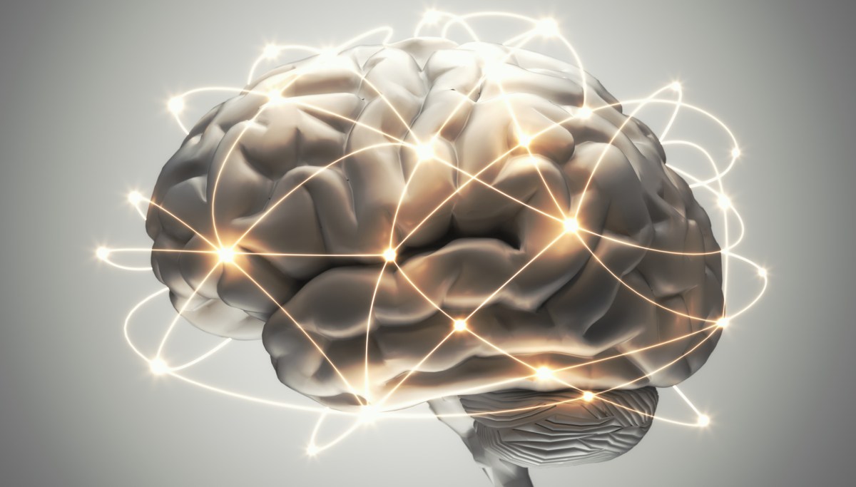 Paul Bloom's journey through the mind