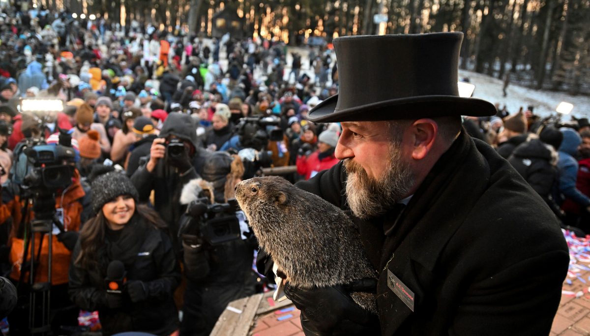Groundhog Day: Punxsutawney Phil predicts early spring