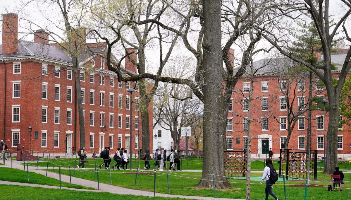 Fat studies: The Ivy League's latest and craziest academic trend