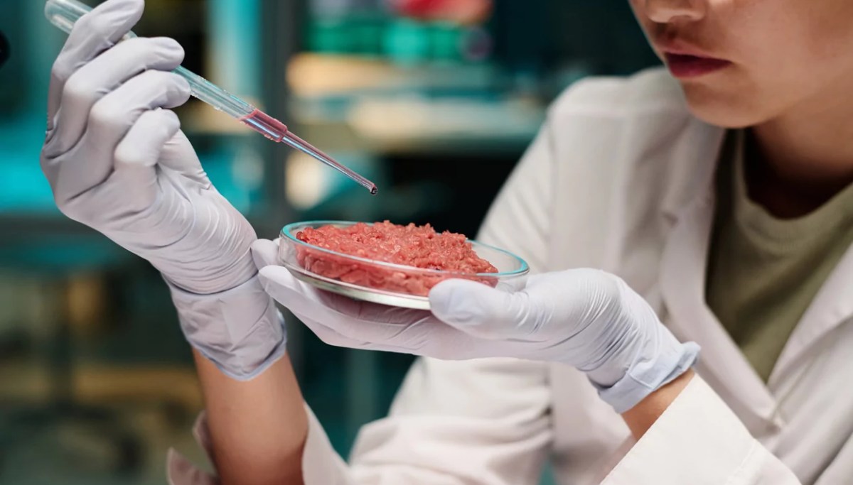 South Dakota advances bill banning lab-grown meat