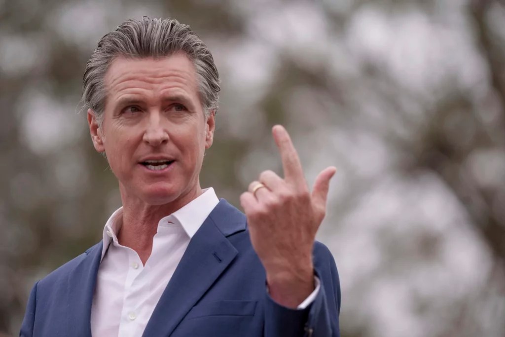 Newsom slams Democrats for not doing autopsy of what 'went wrong' in ...