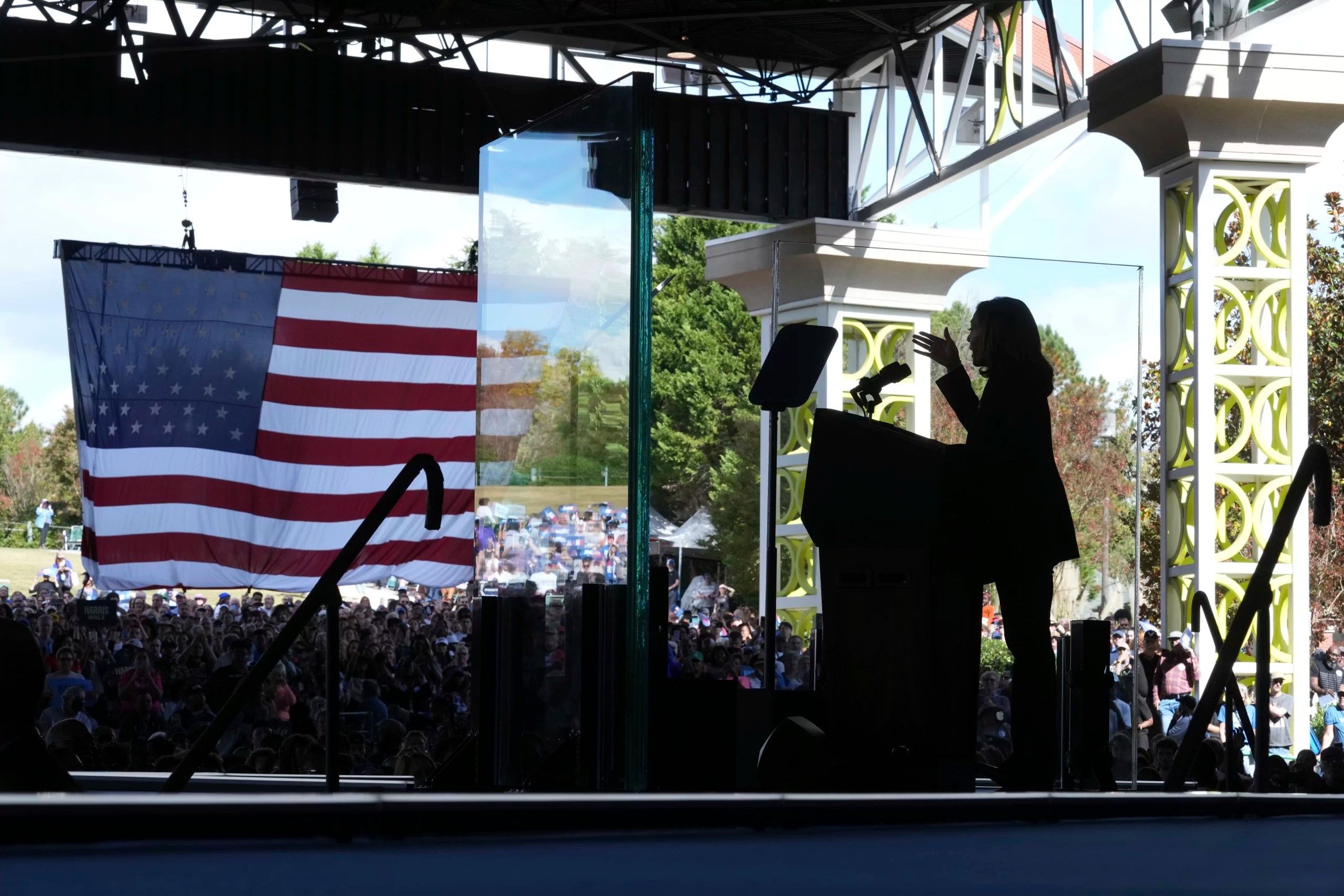 Harris interuppted during Raleigh rally by protester - Washington Examiner