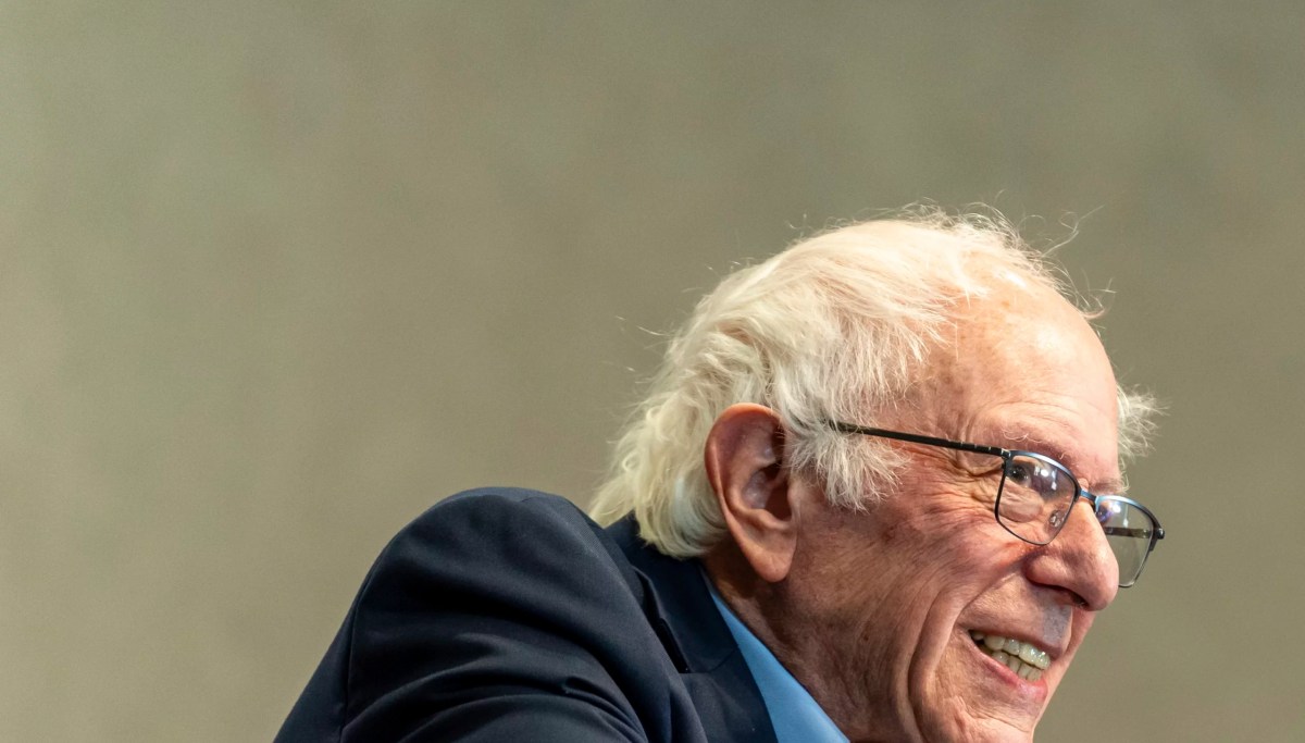 Bernie Sanders finds agreement with Musk on DOGE proposal to cut ...