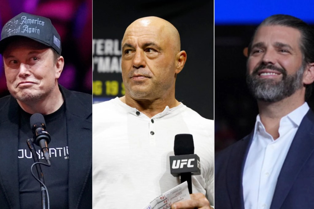 Joe Rogan, Donald Trump Jr., and Elon Musk joke about MSNBC takeover