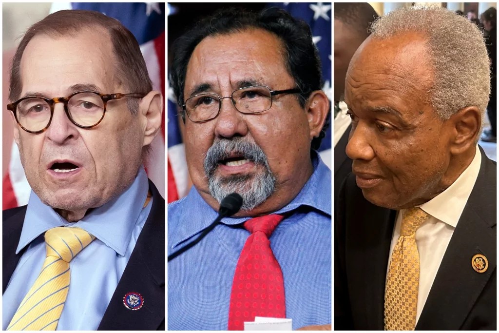 Democratic House committee leaders face challenges from young members