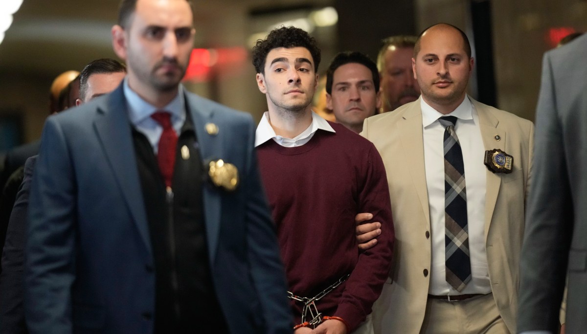 CEO murder suspect garners 'hot assassin' fandom