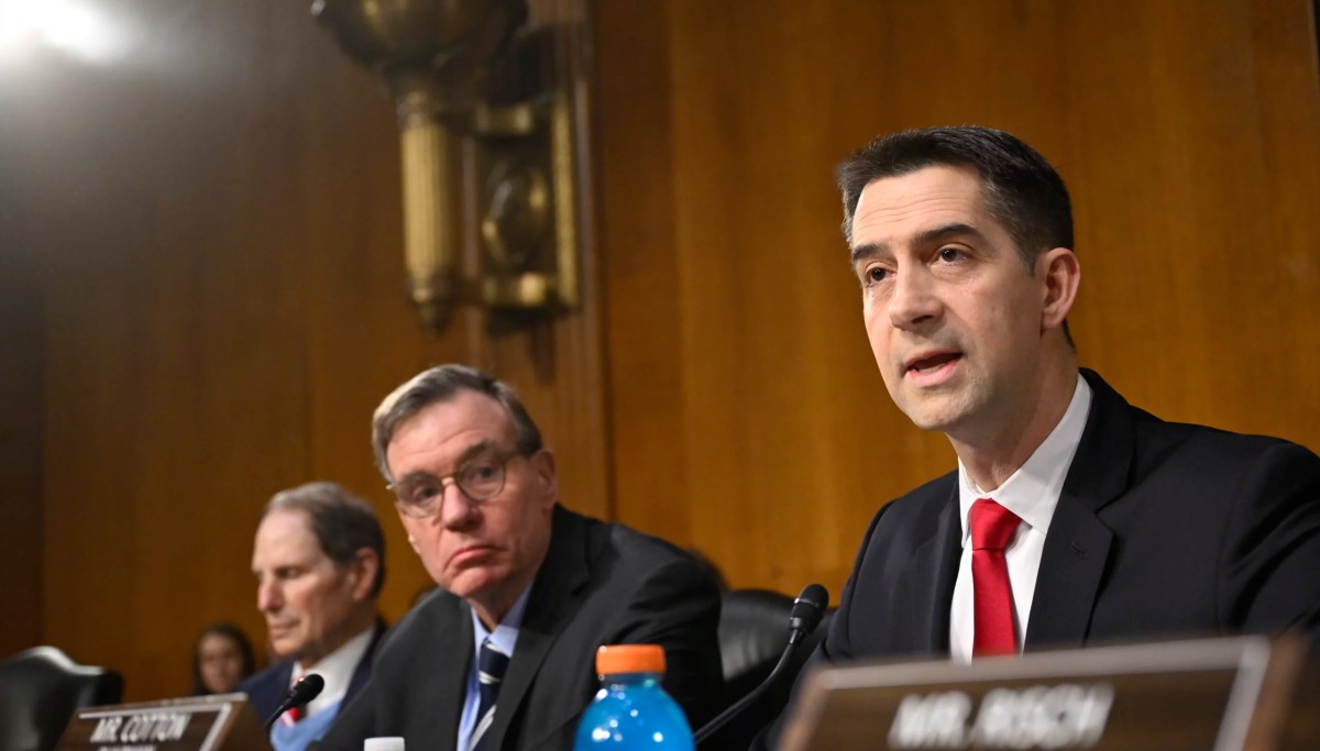 Tom Cotton rebukes Code Pink 'lunatic' disrupting Senate intelligence ...
