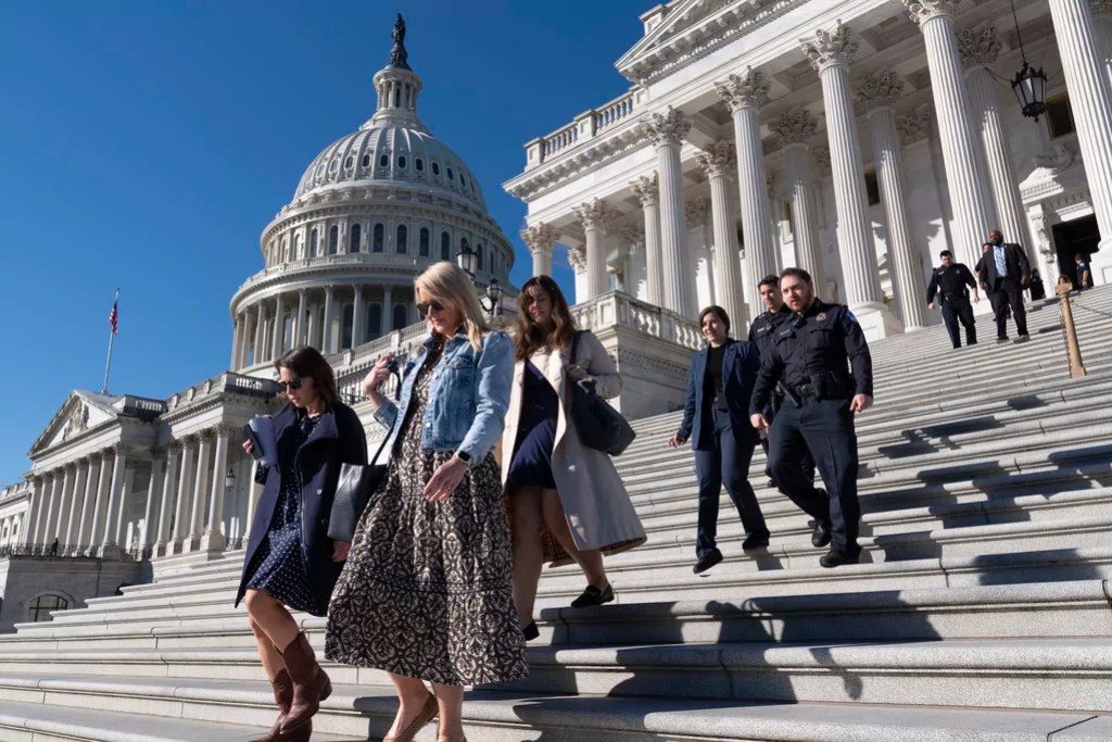 What 25-year-old congressional staffers do when their boss is (finally ...