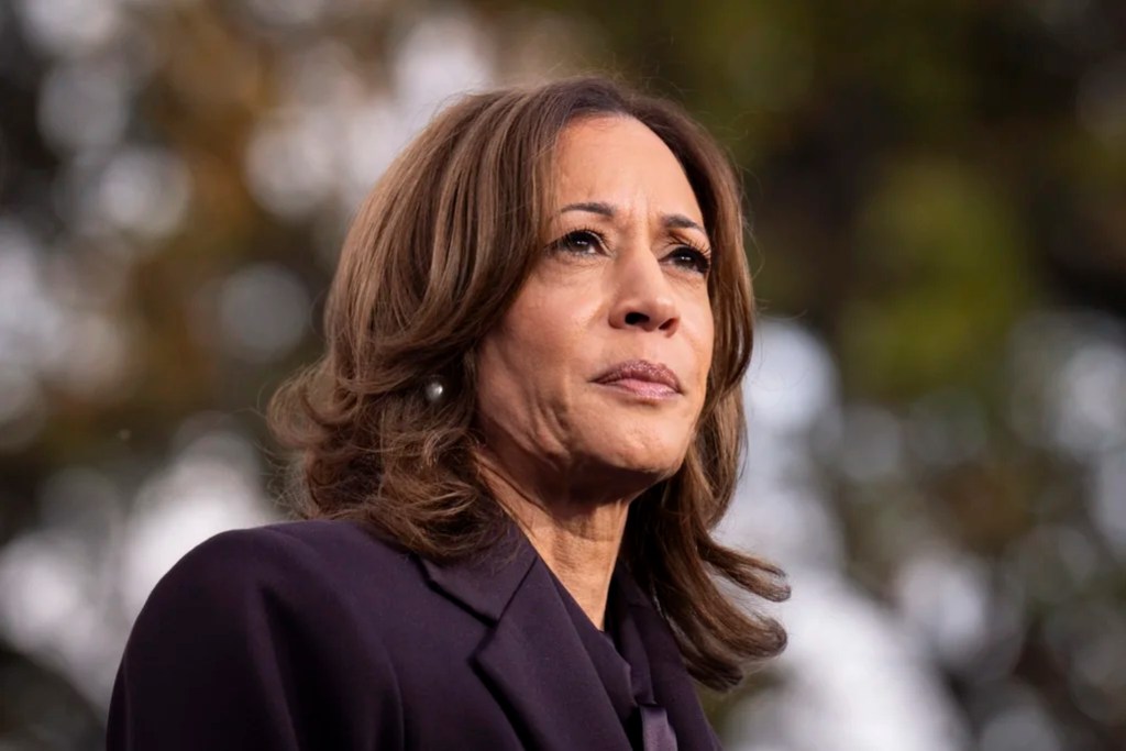 Harris blasts Supreme Court for forgetting what ‘democracy and rule of ...