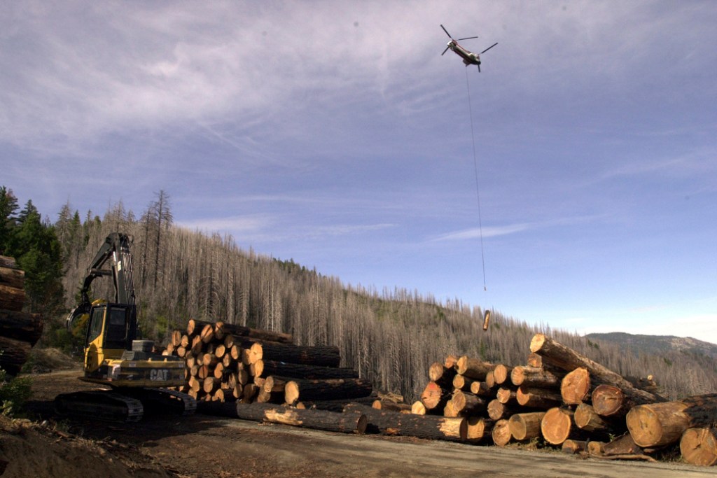 Trump USDA advances plan to ax logging protections for 44 million acres ...
