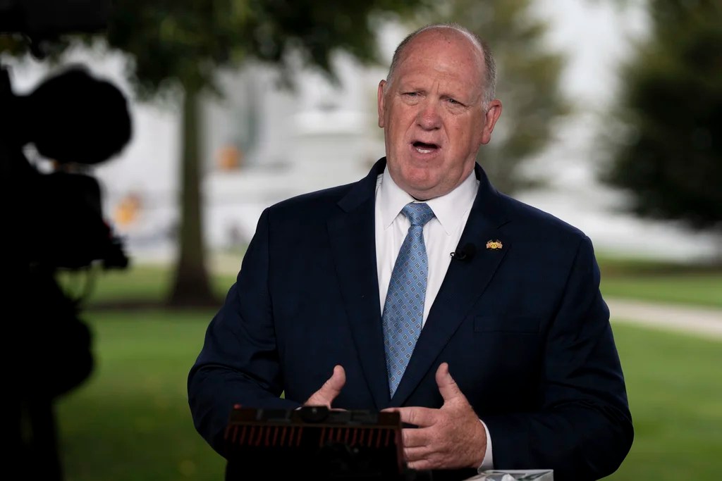 Homan says Trump has 'no limitation' in power to make country safe