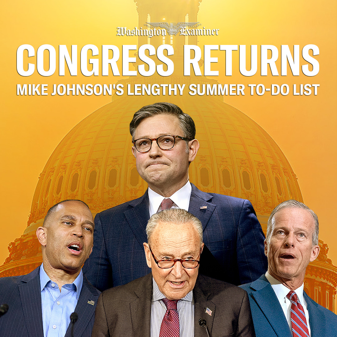 Mike Johnson fights back against discharge petitions