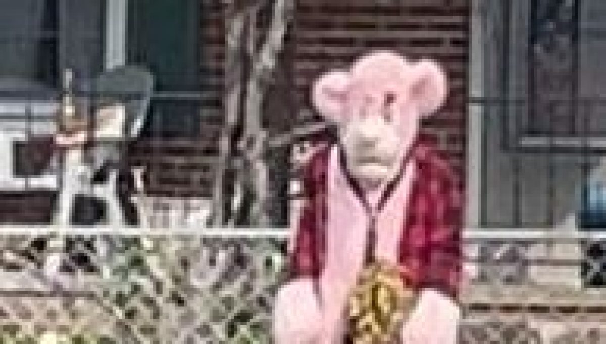 Police search for pink costumed suspect in Virginia